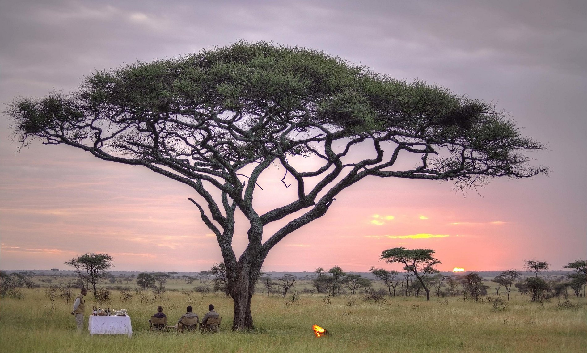 Tailor-made Luxury Safaris to Tanzania - Ajabu Adventures